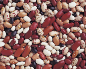 Boabele de fasole, sute de forme, gusturi şi culori - Automac